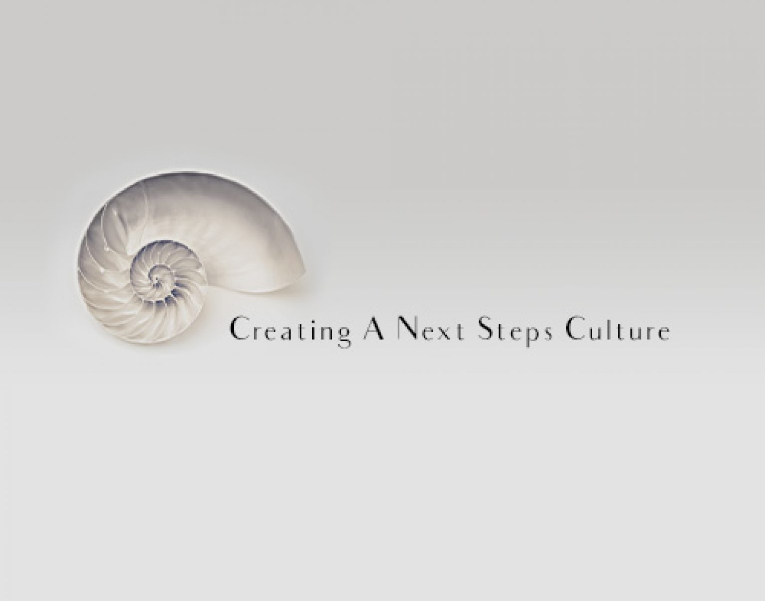 Creating A Next Steps Culture – Fair Haven