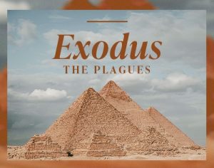 The Exodus - Walker